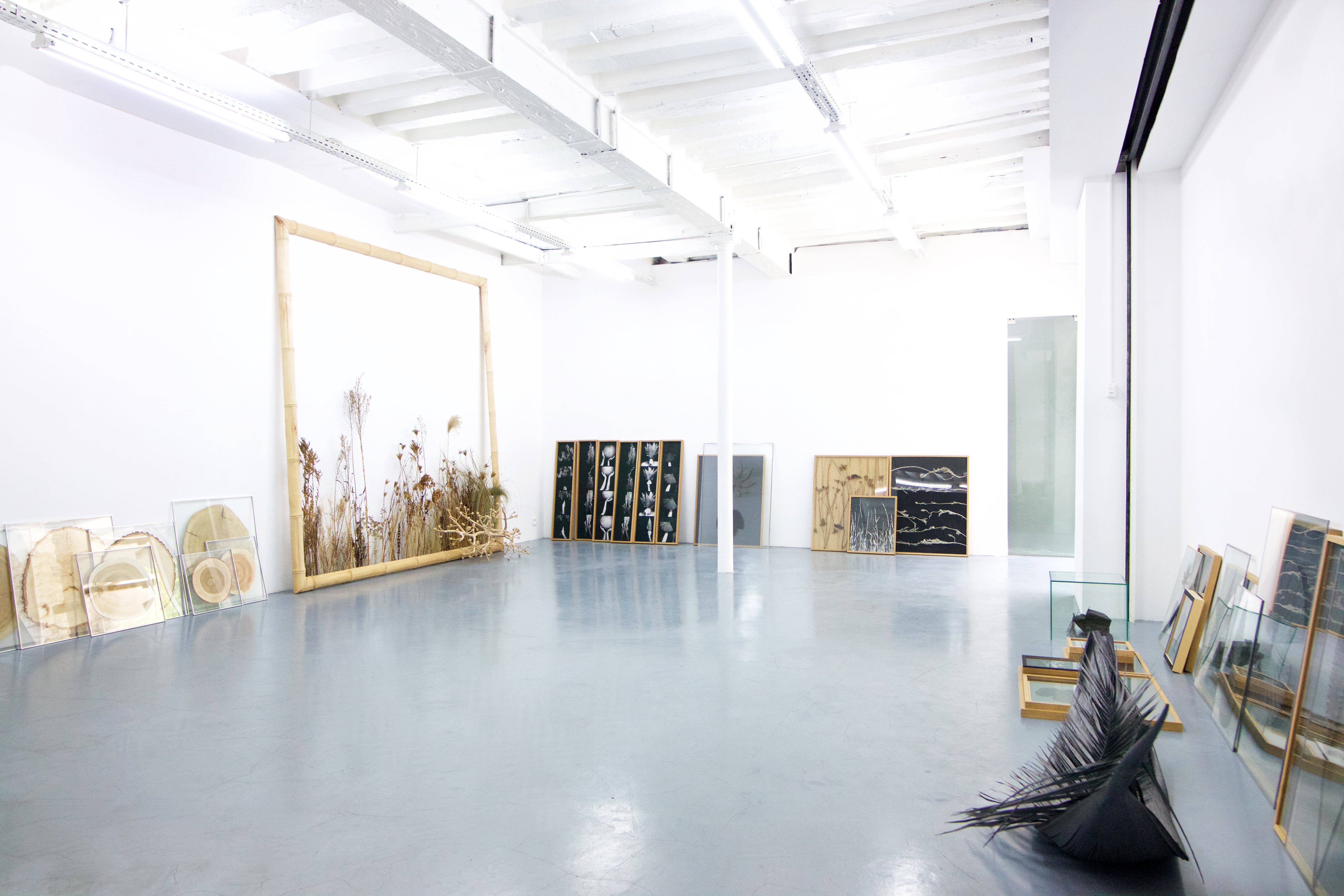 Galleria Alberta Pane | Marie Denis