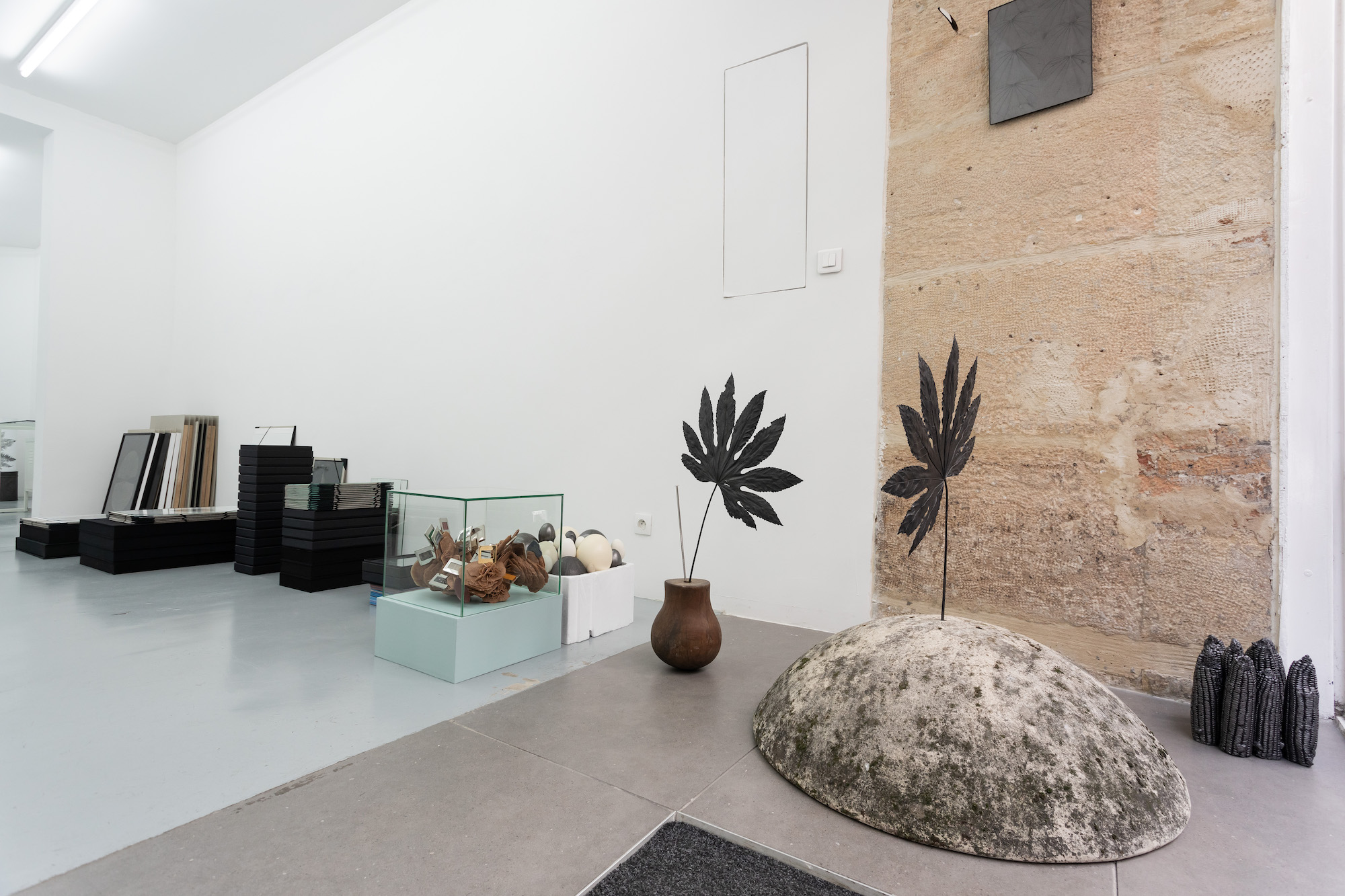 Galleria Alberta Pane | Marie Denis