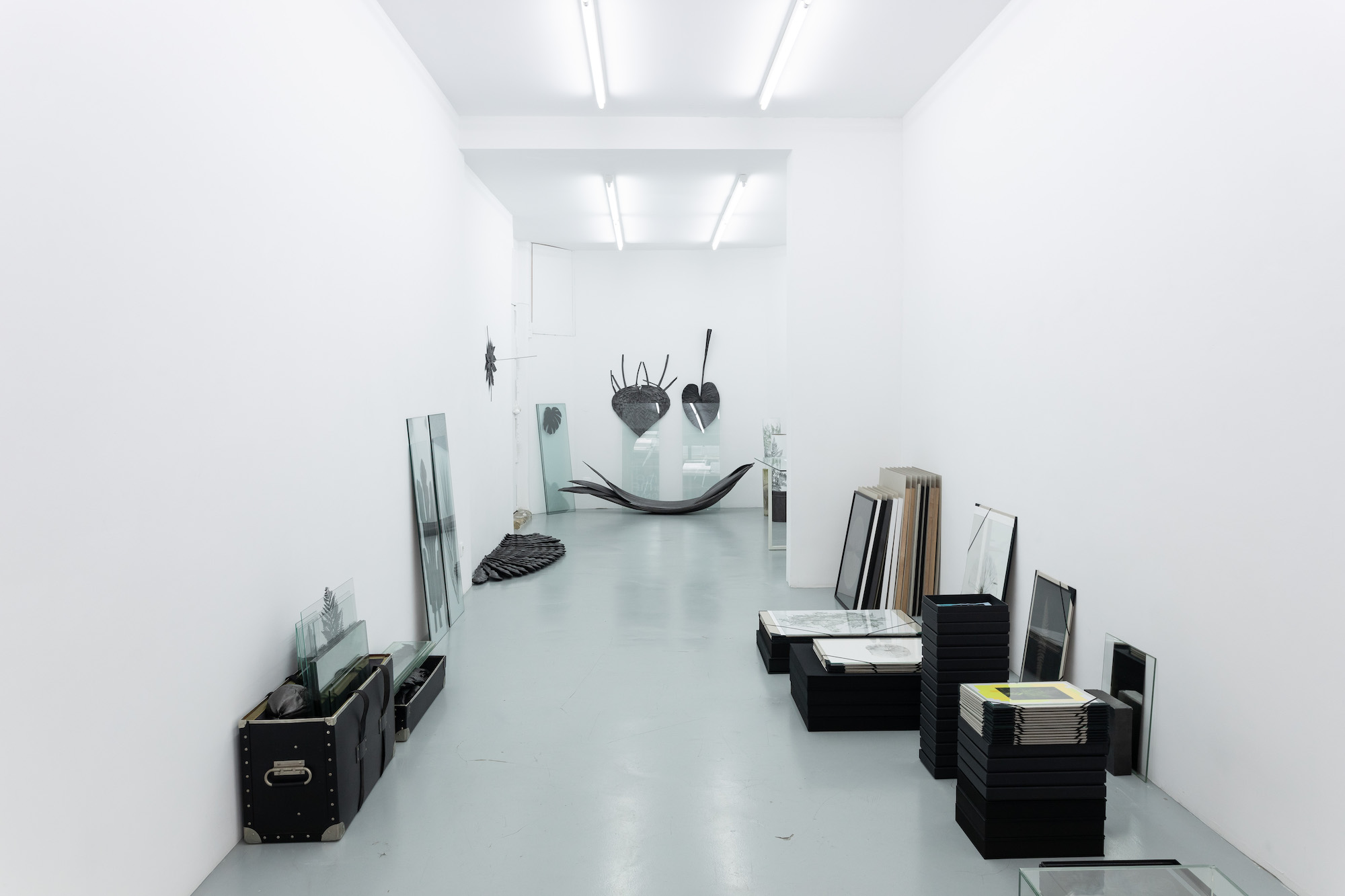 Galleria Alberta Pane | Marie Denis