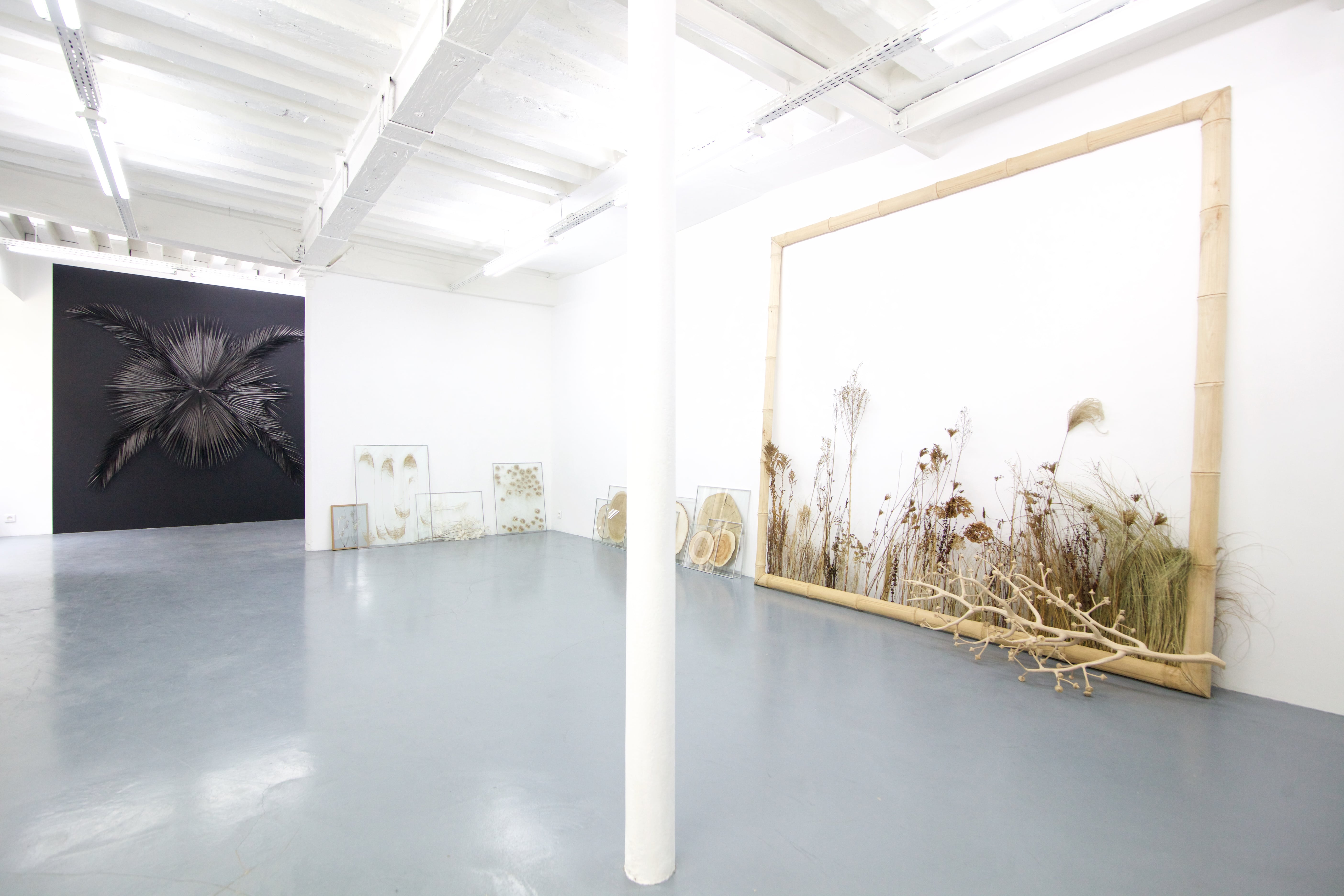 Galleria Alberta Pane | Marie Denis