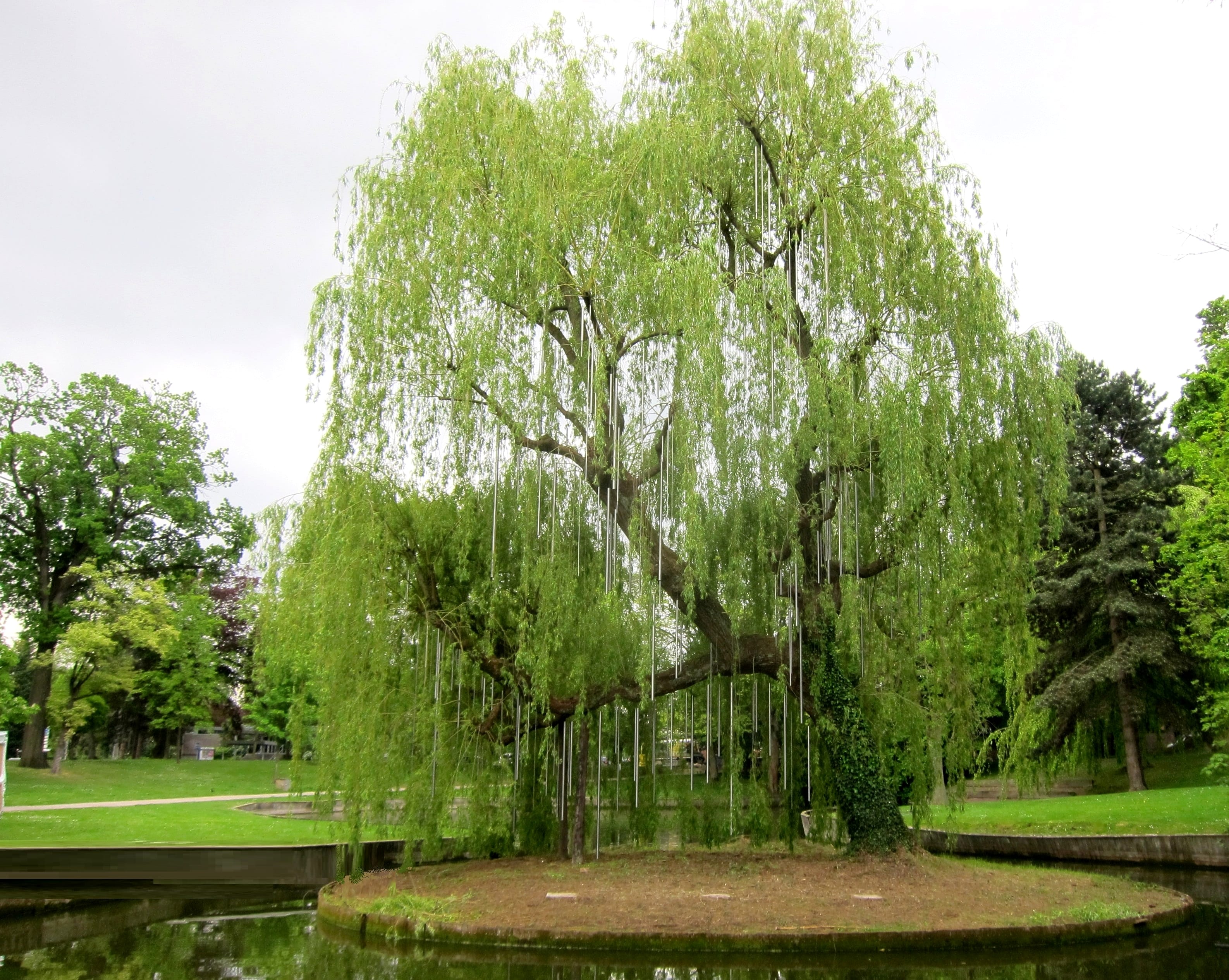 Galleria Alberta Pane | Marie Denis